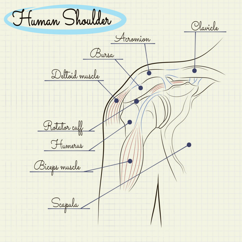 Winter Shoulder Injuries (And How to Prevent Them) | Dr. John Skedros